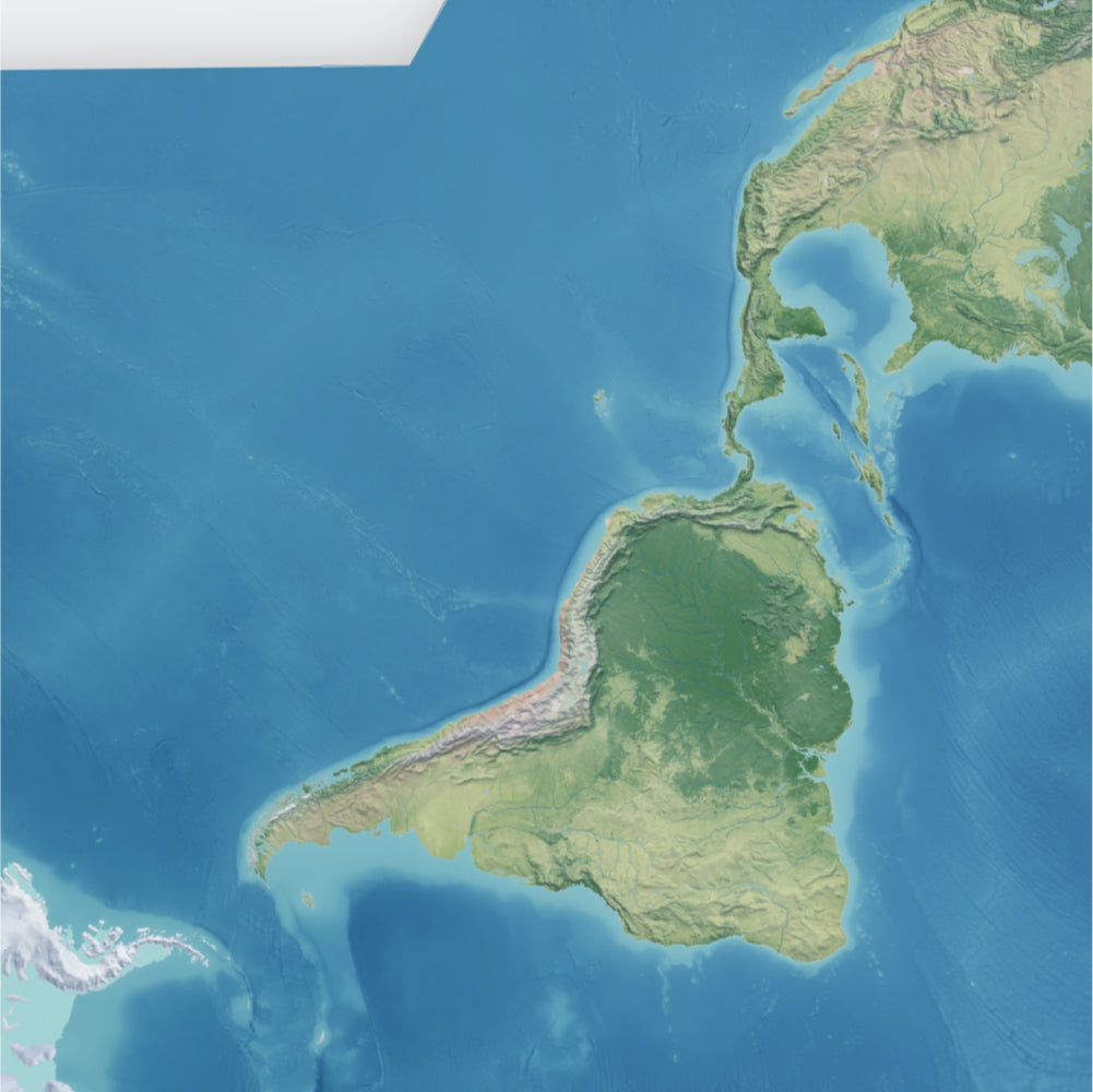 Bat Projection World Map | Windrose Maps